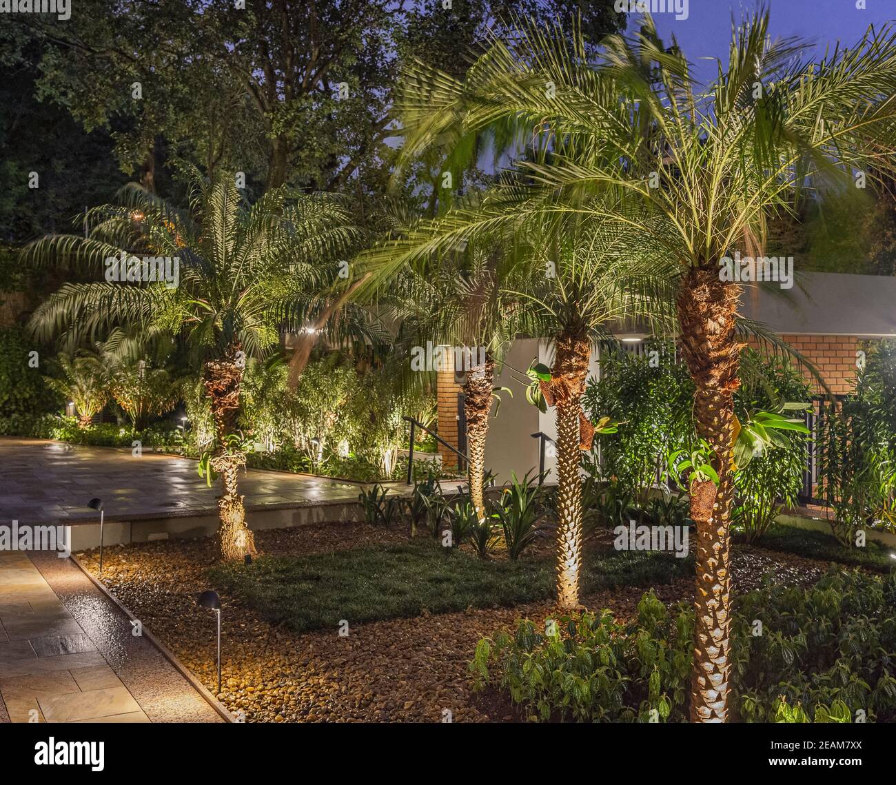 Beautiful modern garden with palm trees Stock Photo - Alamy