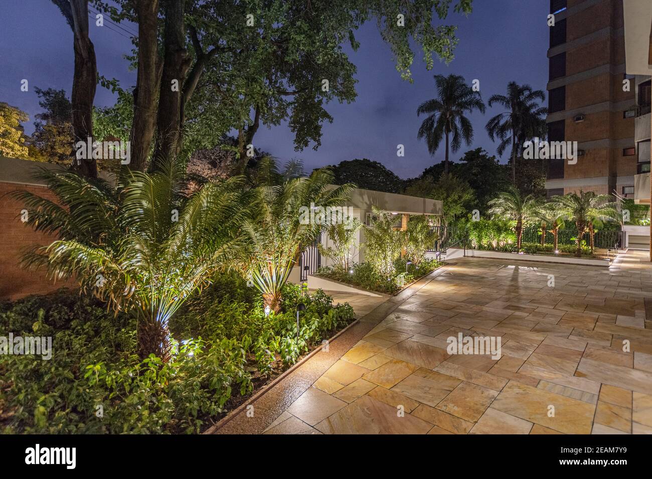 Beautiful modern backyard with lush vegetation Stock Photo - Alamy