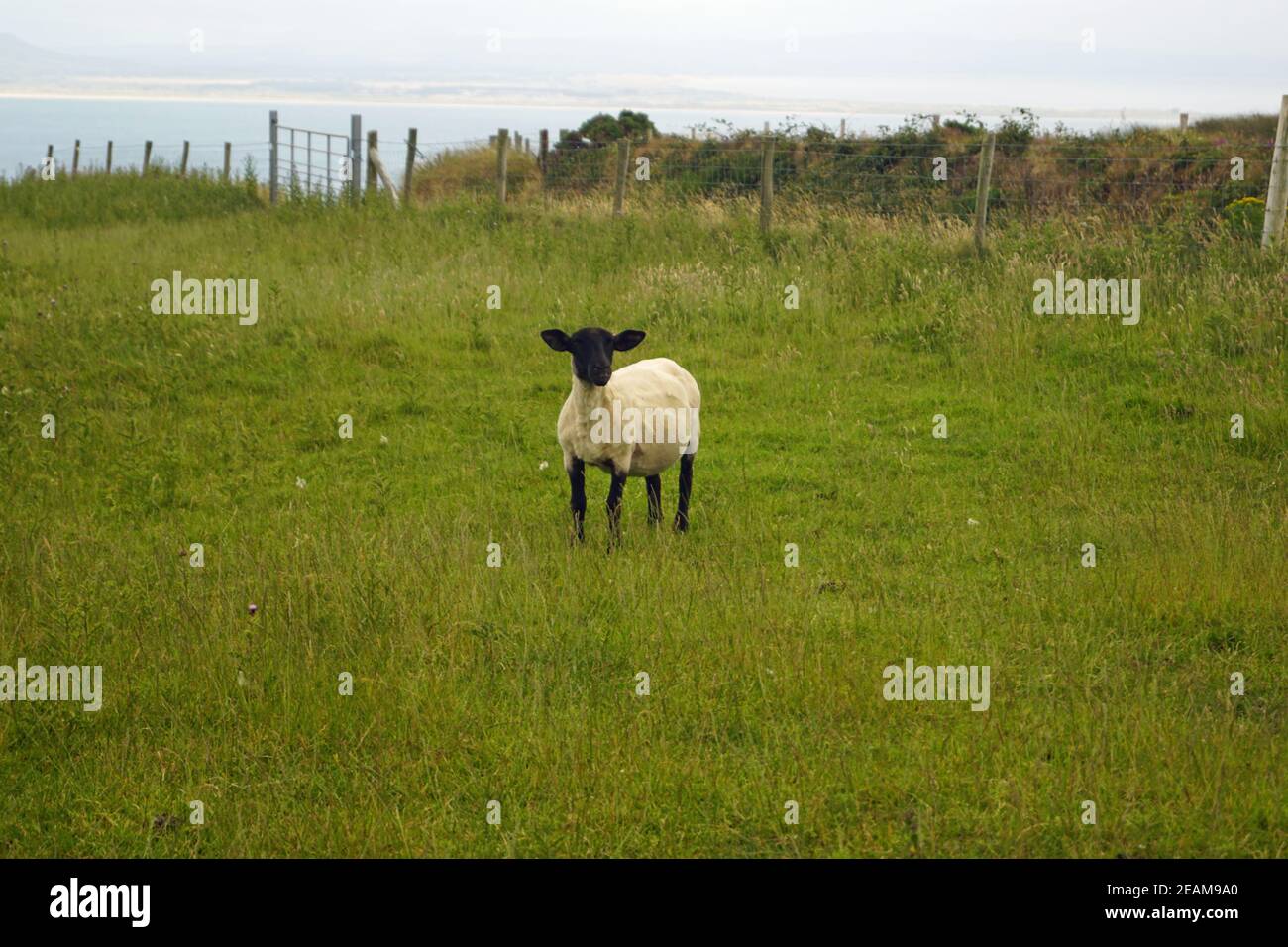 Inishowen head hi-res stock photography and images - Alamy