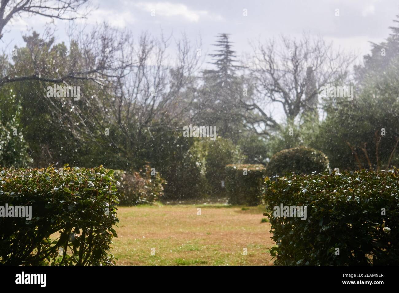 sudden snow and rain in subtropical seaside landscape park in winter ...
