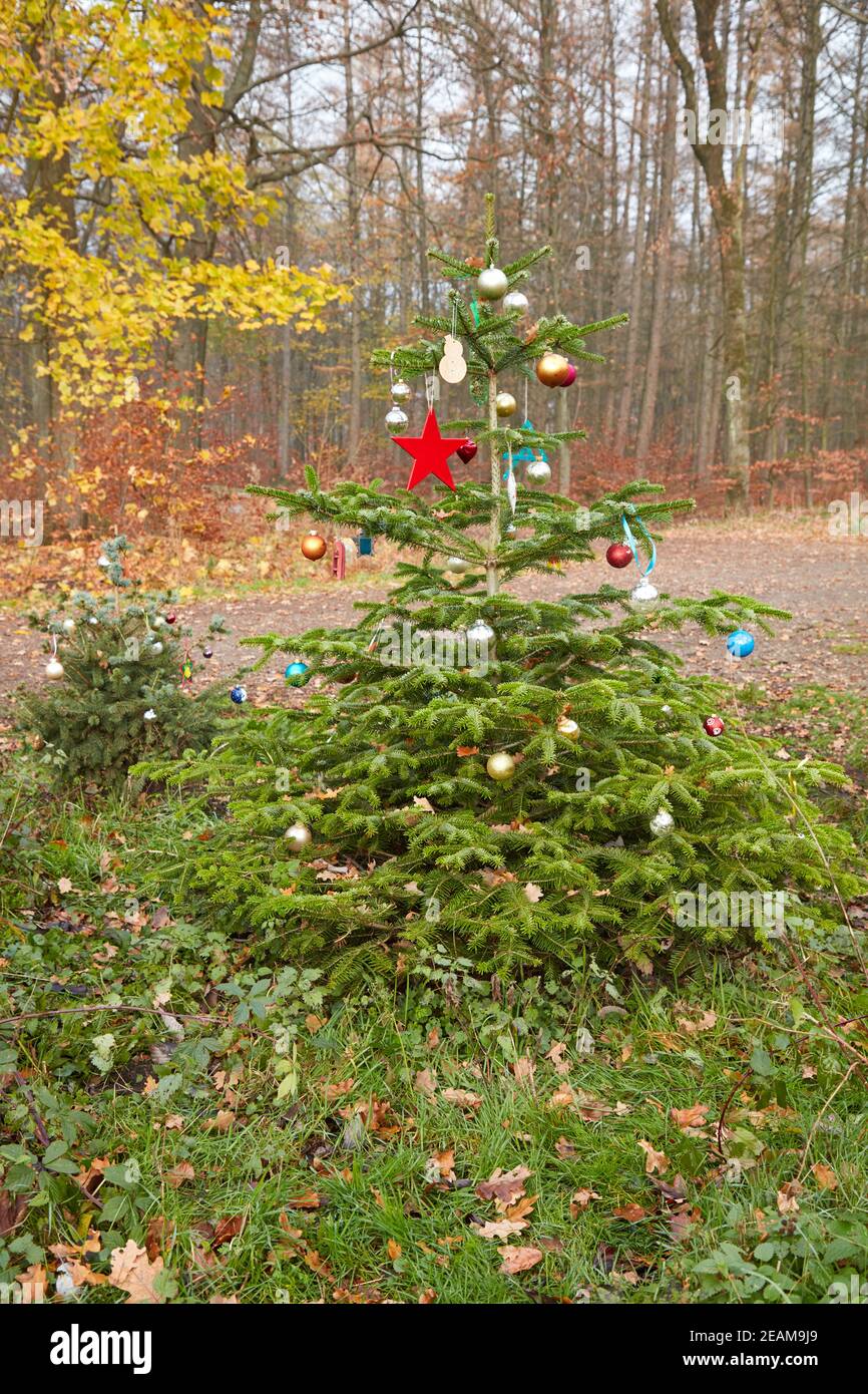 Nice christmas tree hi-res stock photography and images - Alamy