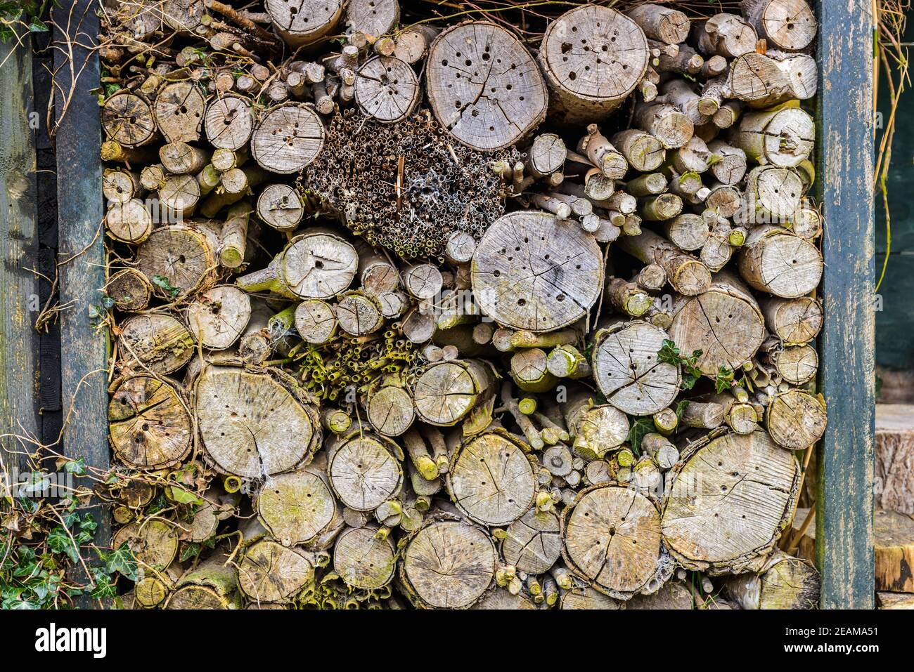 Invertebrate bug hotel insect house hi-res stock photography and images ...