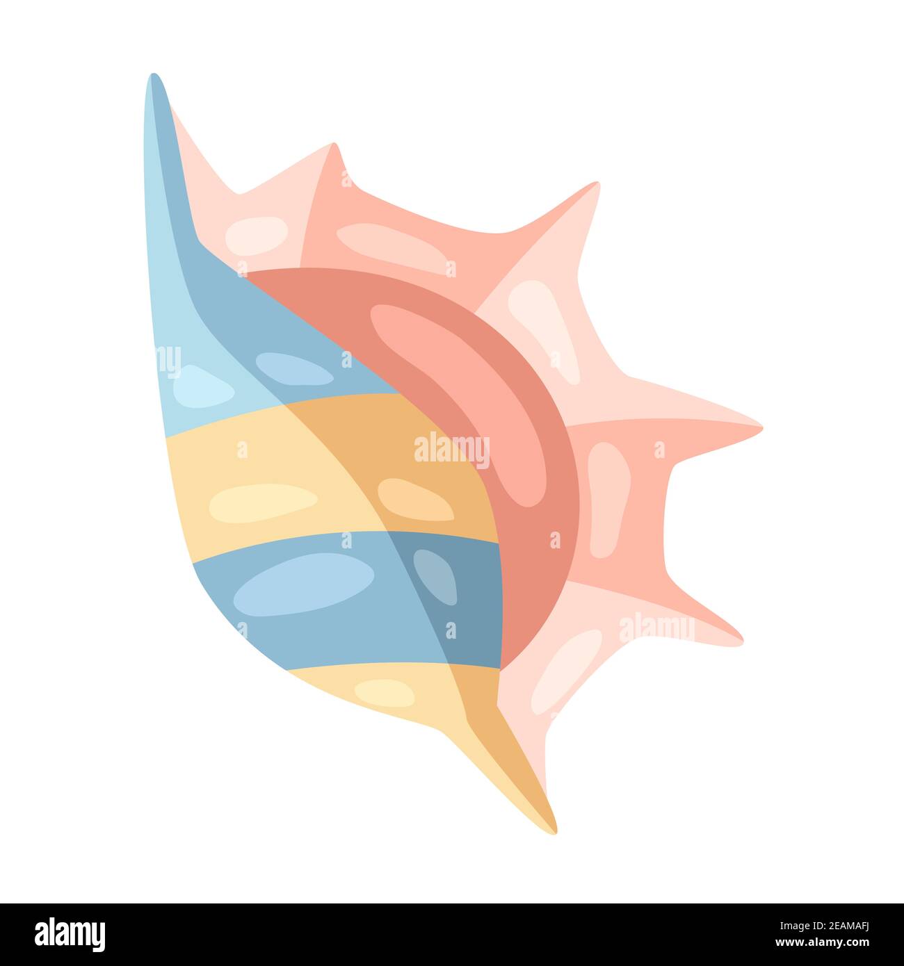Illustration of seashell Stock Vector Image & Art - Alamy
