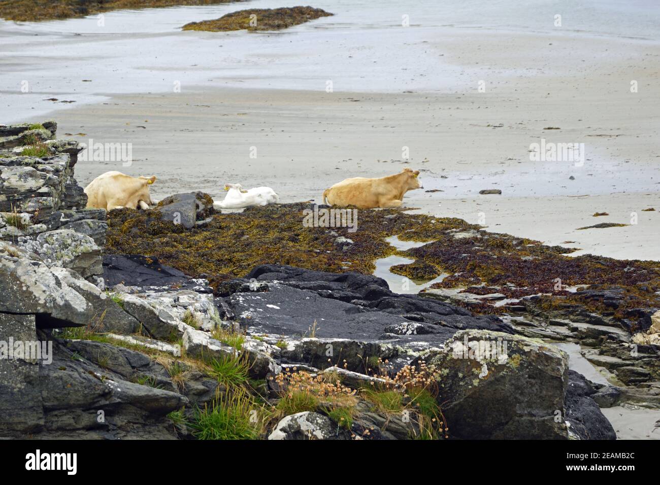Rosbeg pier hi-res stock photography and images - Alamy
