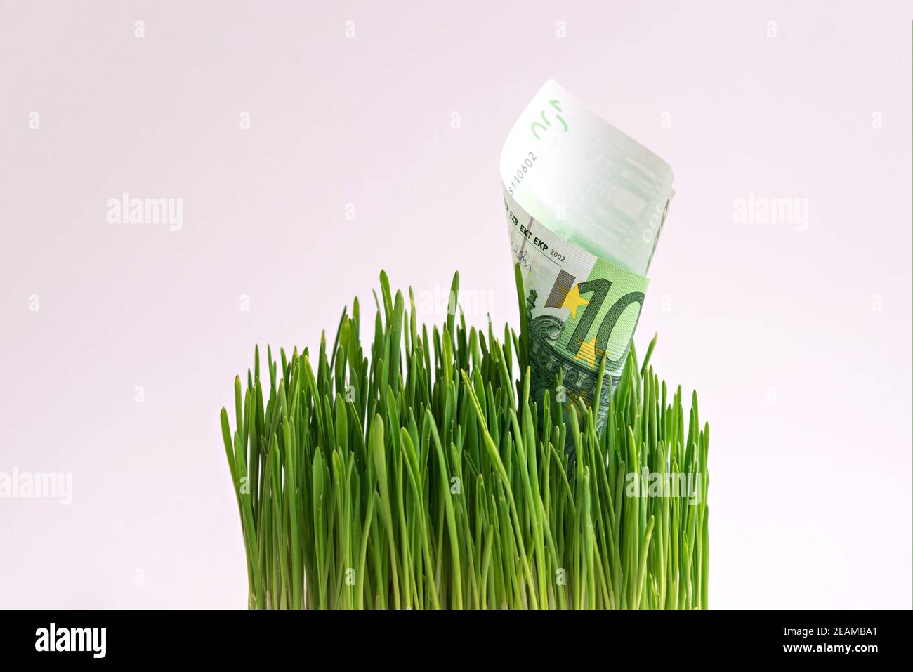 Green grass and 100 euro banknote on a white background Stock Photo - Alamy