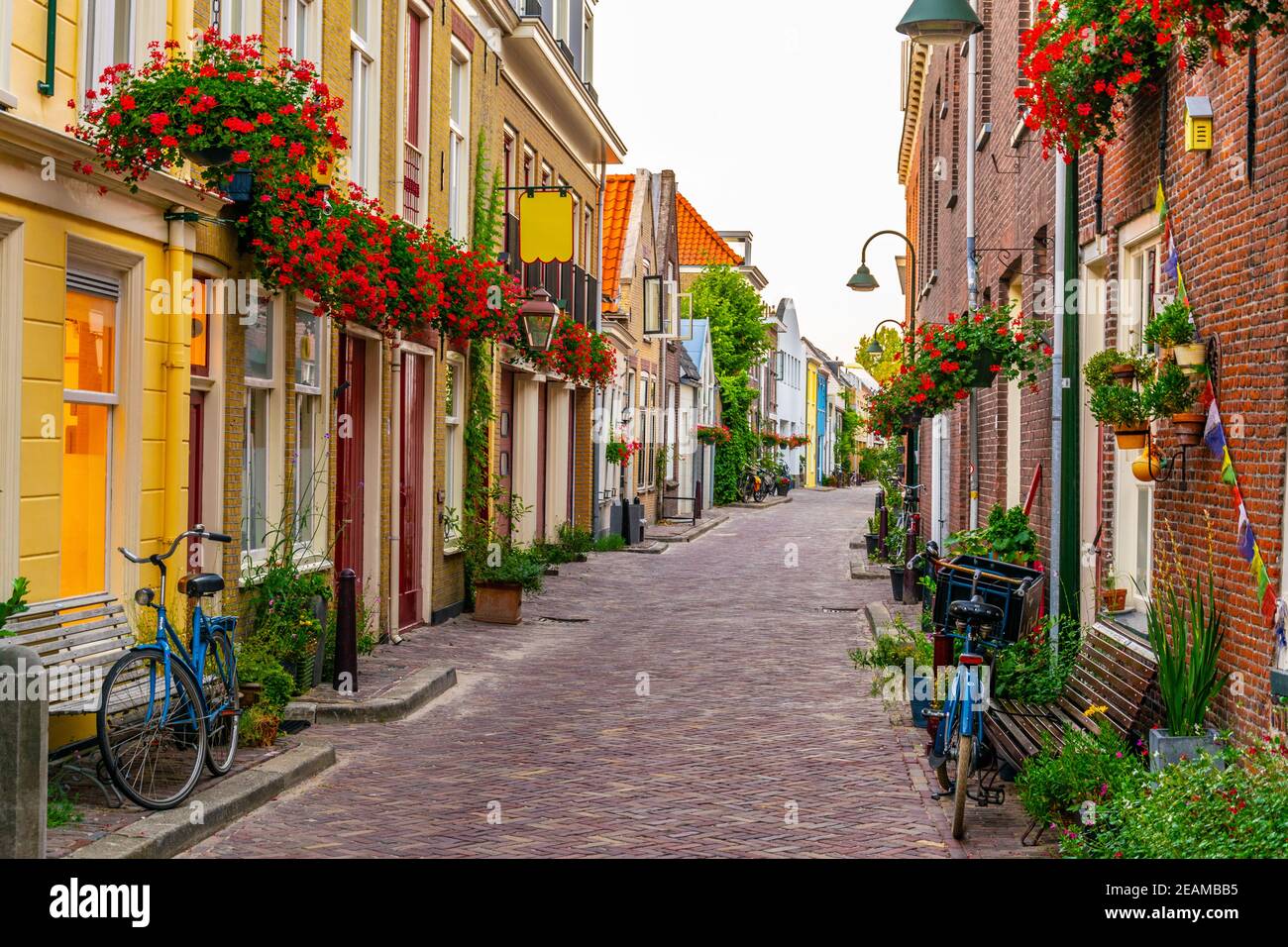 Narrow street in the center of Delft, Netherlands Stock Photo - Alamy