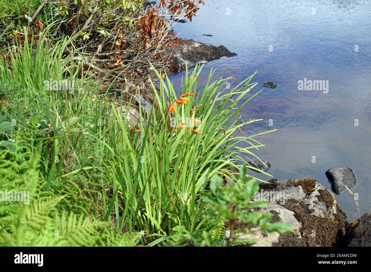 Ashleigh falls hi-res stock photography and images - Alamy