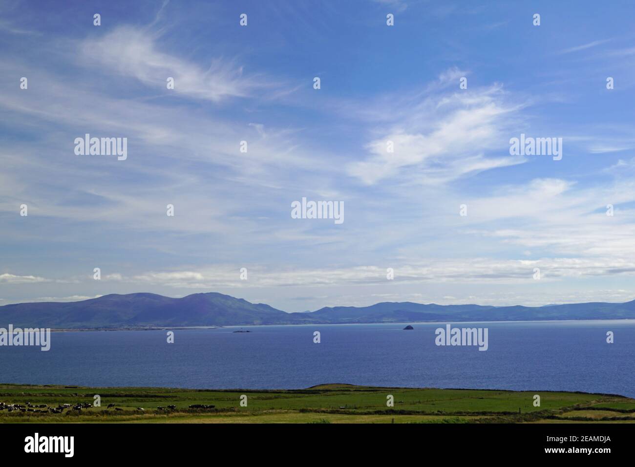 Head of the meadow beach hi-res stock photography and images - Alamy