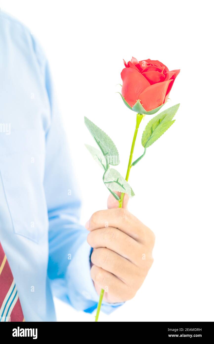 Man holding red rose in hand on white Stock Photo - Alamy