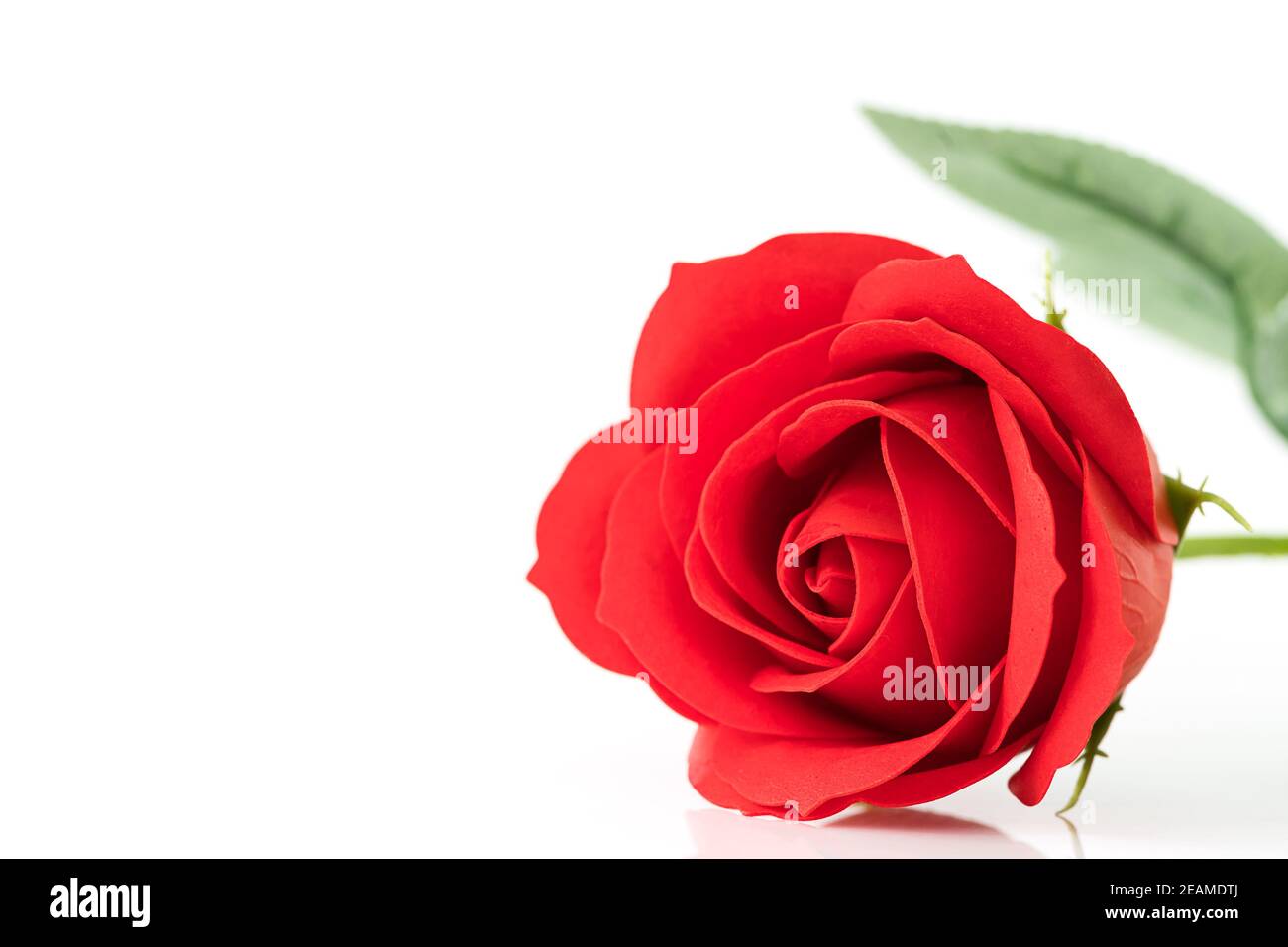 Single Red plastic fake roses on white Stock Photo - Alamy