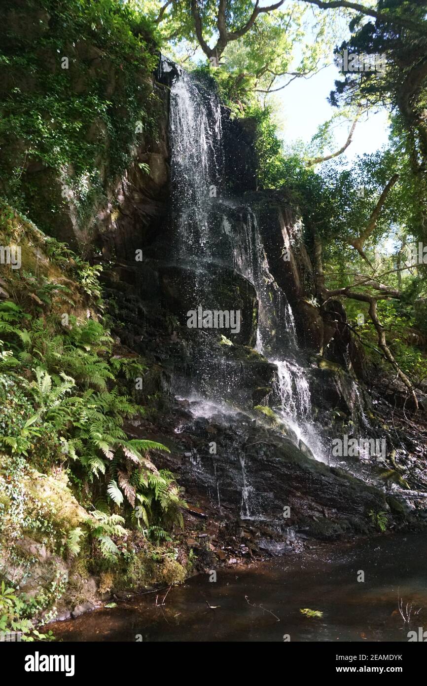 Kerry falls hi-res stock photography and images - Alamy