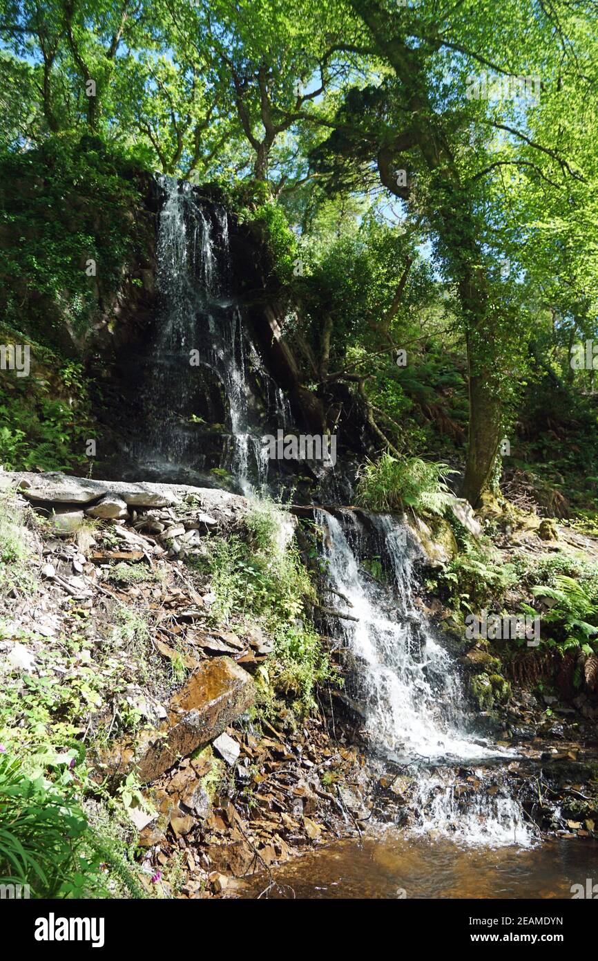 Kerry falls hi-res stock photography and images - Alamy