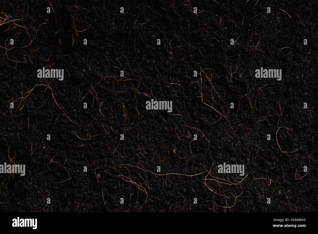 Black land for plant background Stock Photo - Alamy