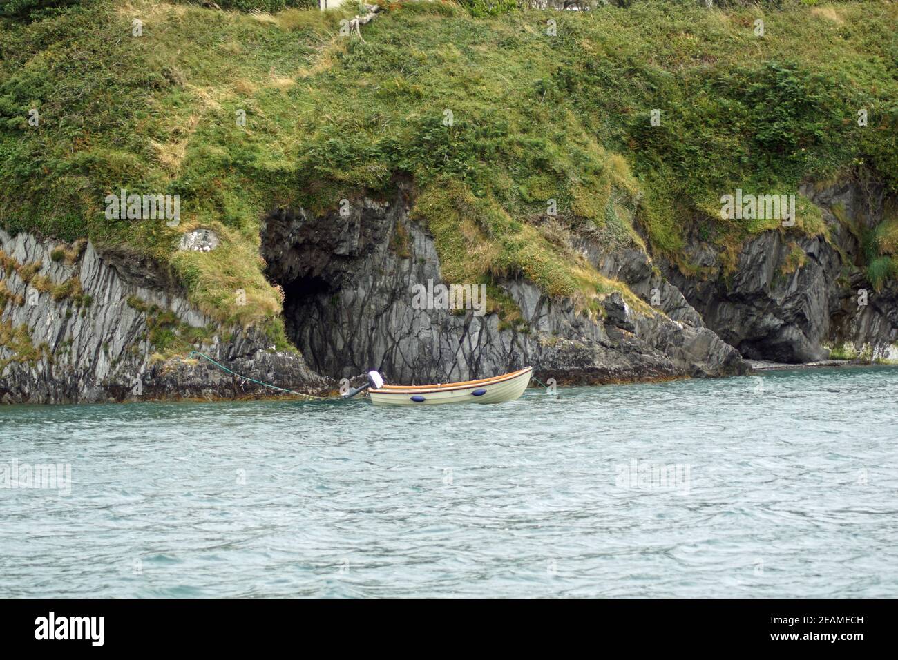 Boat Trip Whale Search in the south of Ireland Stock Photo - Alamy