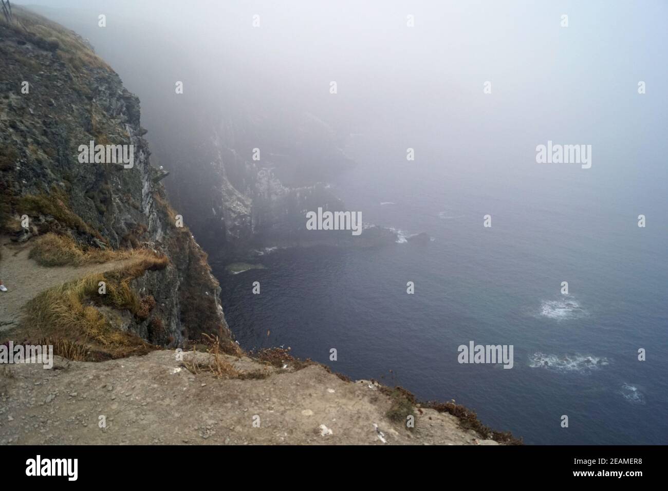 Cliffs steep coast on the Old Head of Kinsale Stock Photo - Alamy