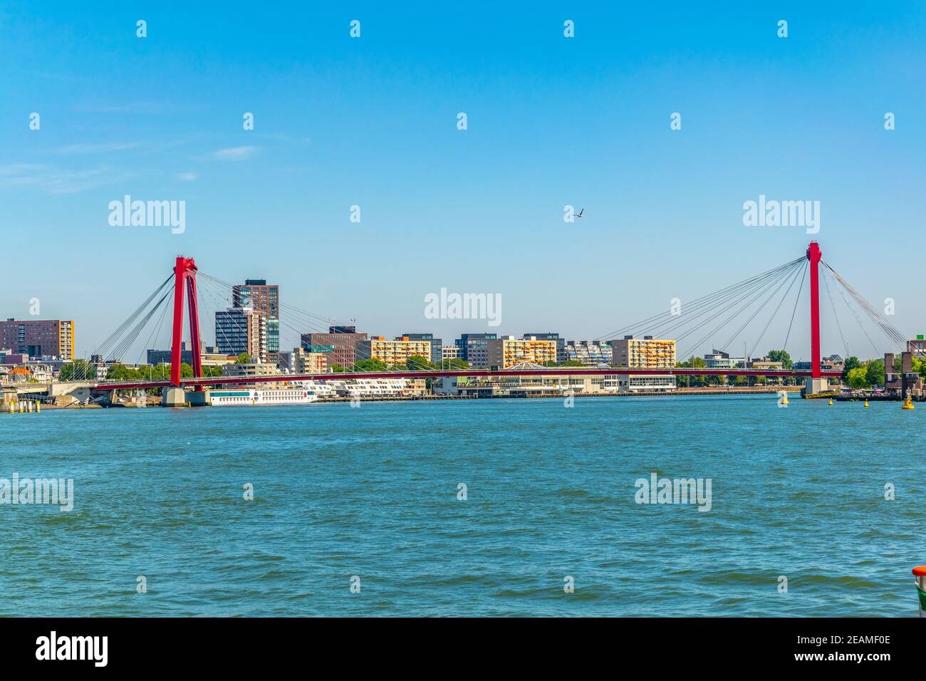 Willem bridge and city skyline hi-res stock photography and images - Alamy