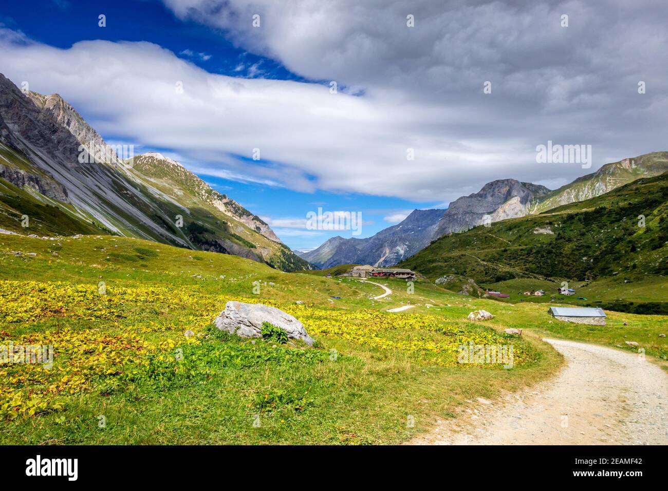 French alps path hi-res stock photography and images - Alamy