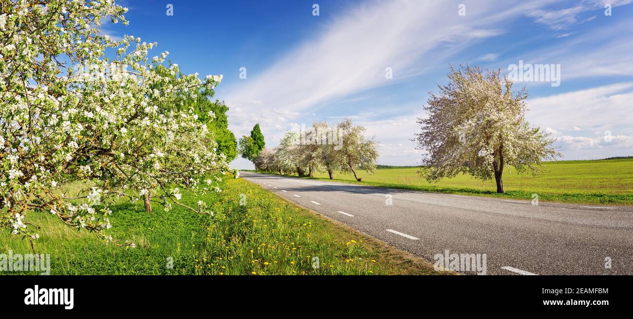 Open road panorama hi-res stock photography and images - Alamy