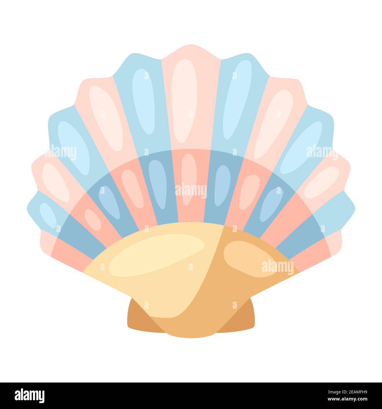 Illustration of seashell Stock Vector Image & Art - Alamy