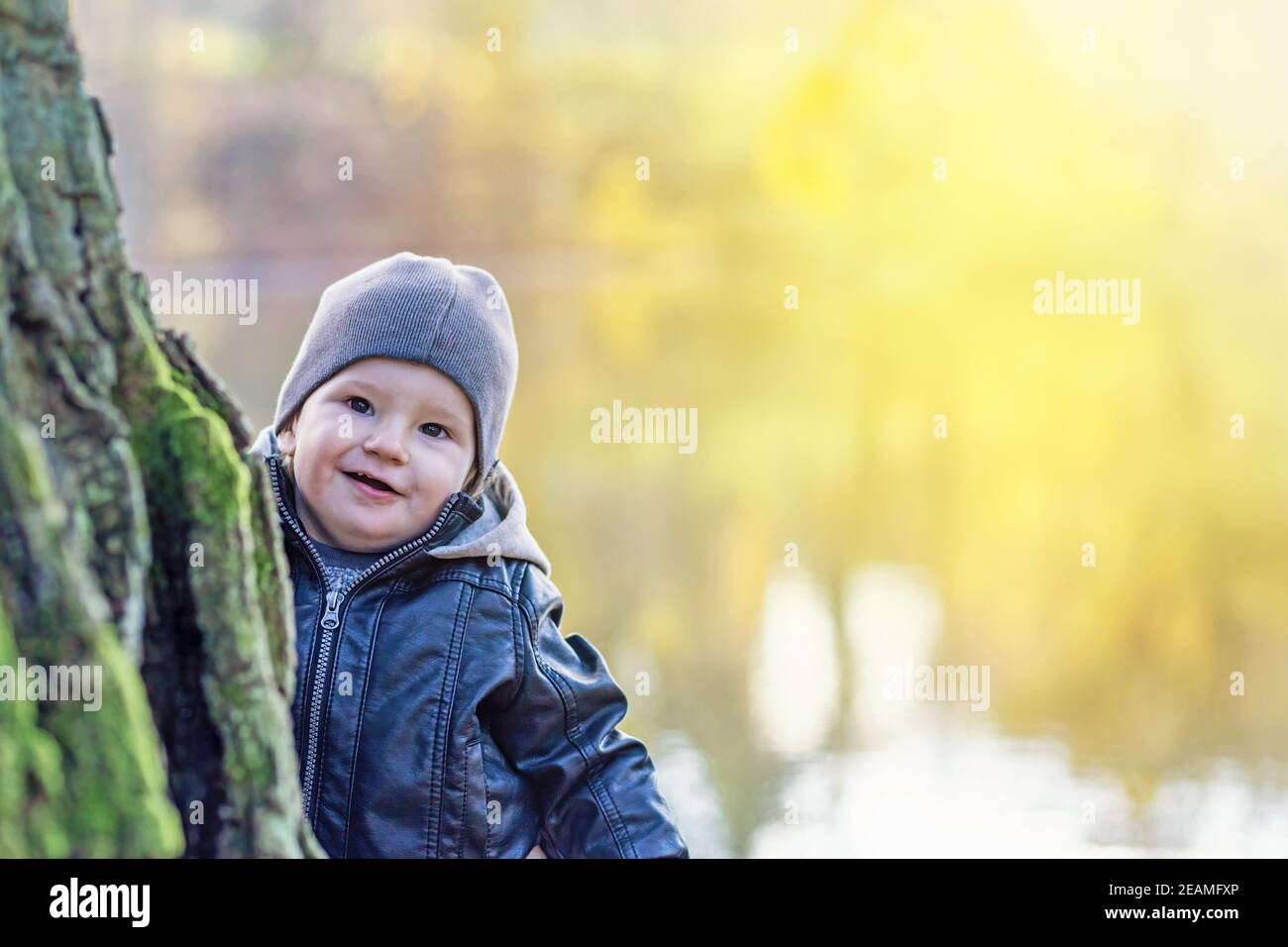 Smiling little boy is posing behind a tree trunk in autumn park Stock ...