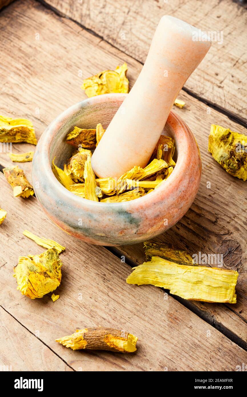 Barberry root in herbal medicine Stock Photo - Alamy