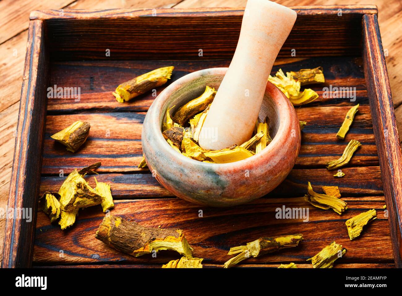 Barberry root in herbal medicine Stock Photo - Alamy