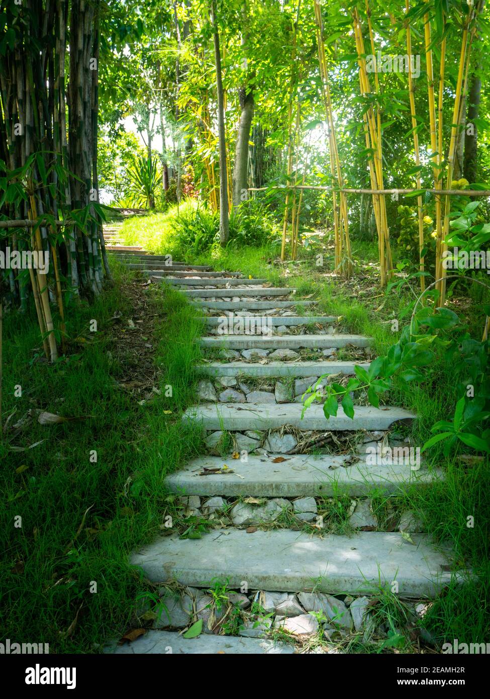 Winding Footpath High Resolution Stock Photography and Images - Alamy