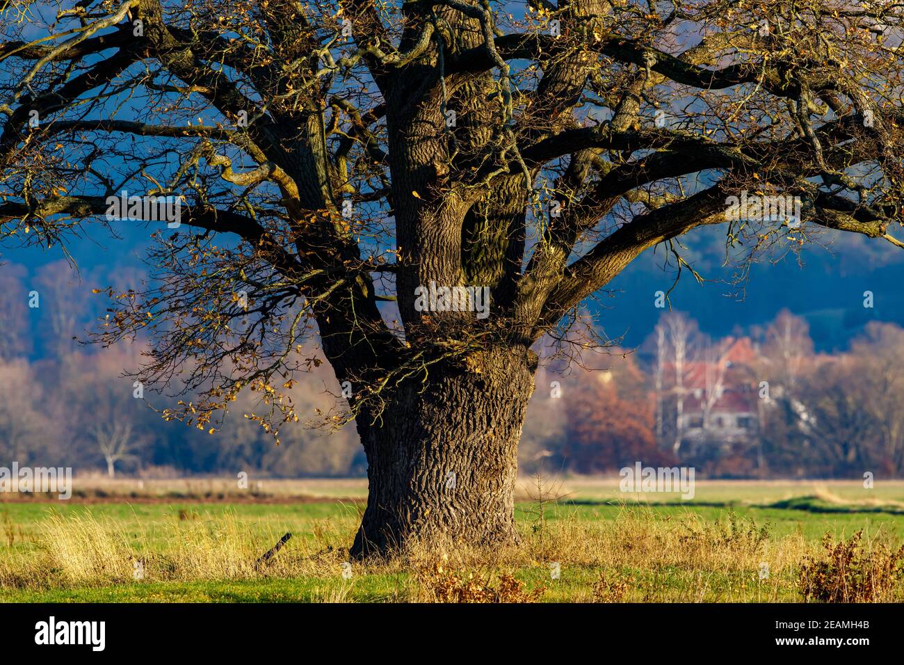 Sky nature and old autumn architecture hi-res stock photography and ...