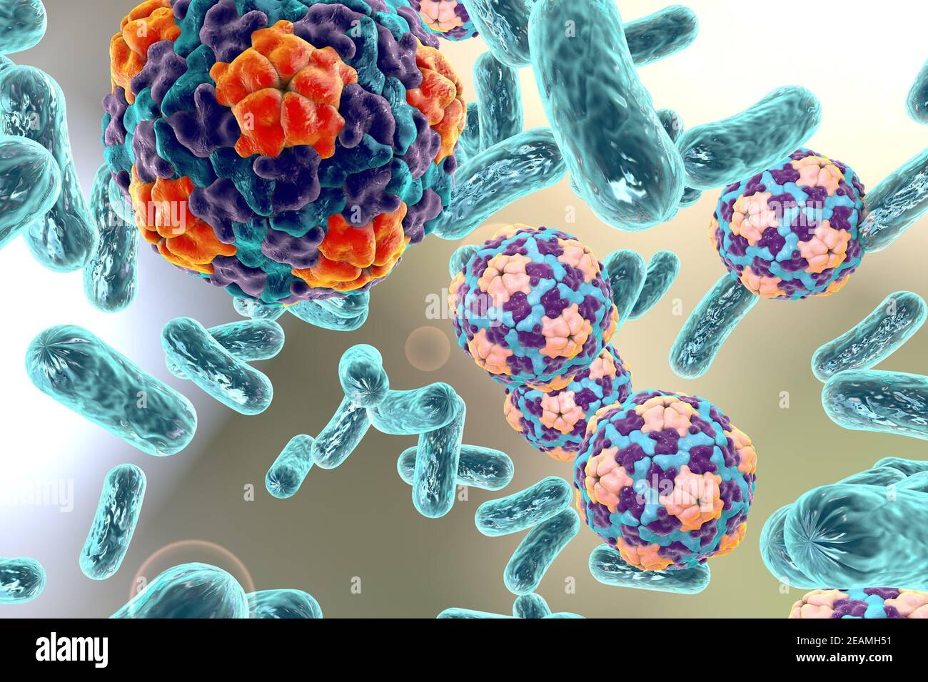 Bacteria and viruses (Hepatitis A virus) on colorful background Stock ...