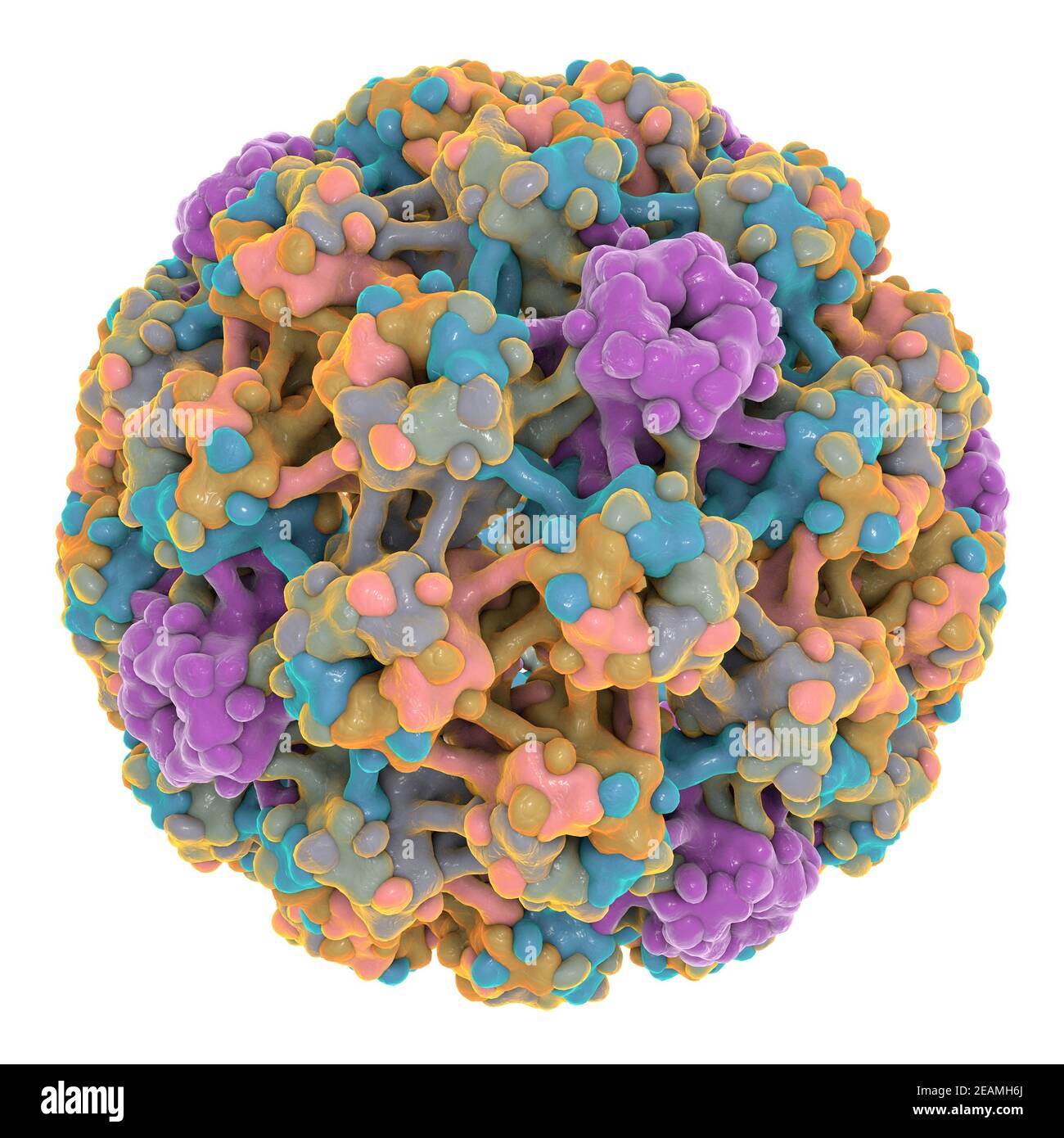 Sepsis microscope Cut Out Stock Images & Pictures - Alamy
