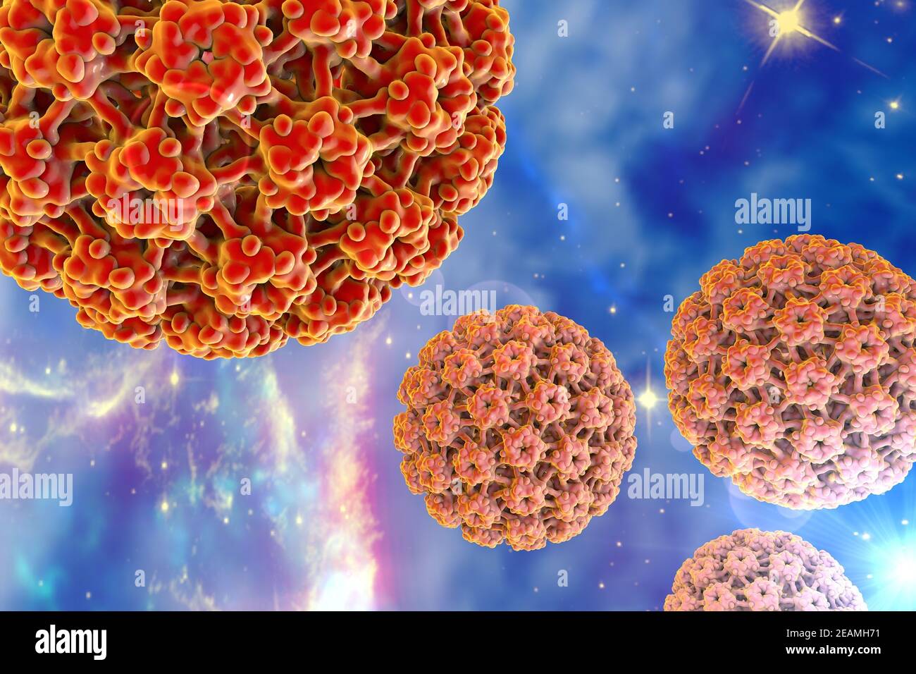 Gastroenteritis microscope hi-res stock photography and images - Alamy