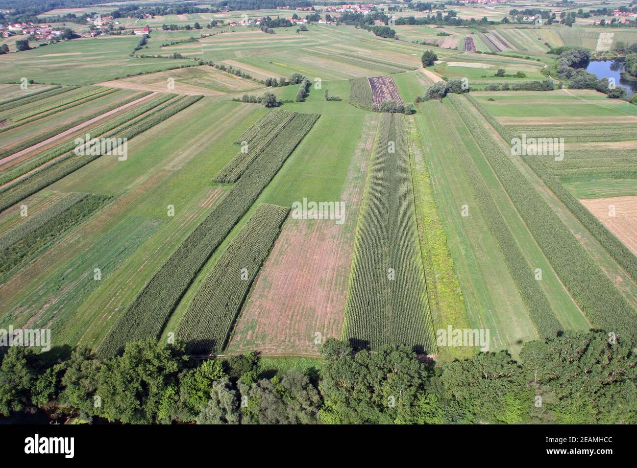 Wavy grass aerial hi-res stock photography and images - Alamy