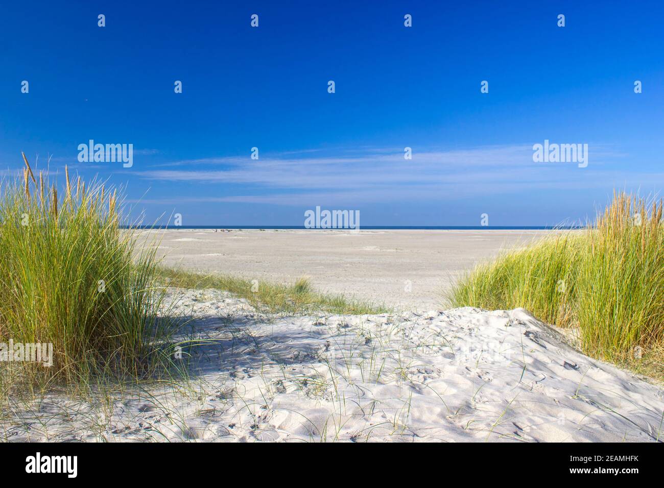 Renesse hi-res stock photography and images - Alamy