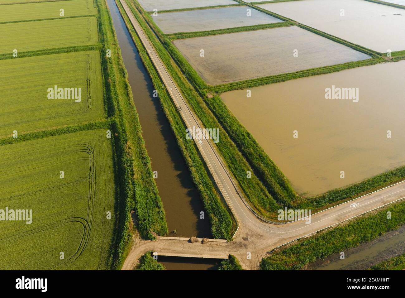 The rice fields are flooded with water. Flooded rice paddies. Agronomic ...