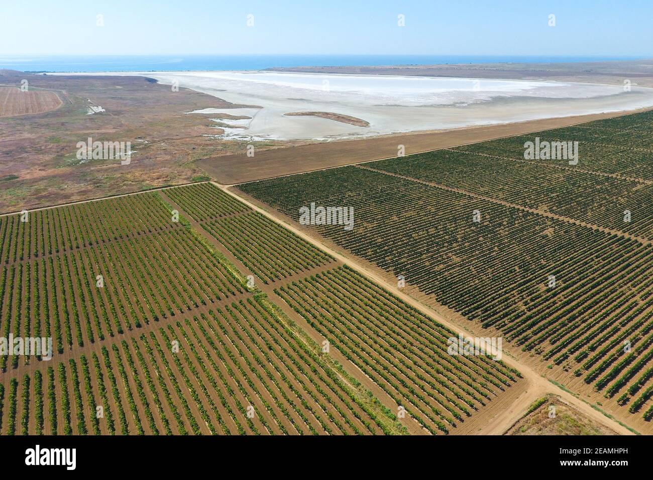 Aerial top view vineyards landscape hi-res stock photography and images ...