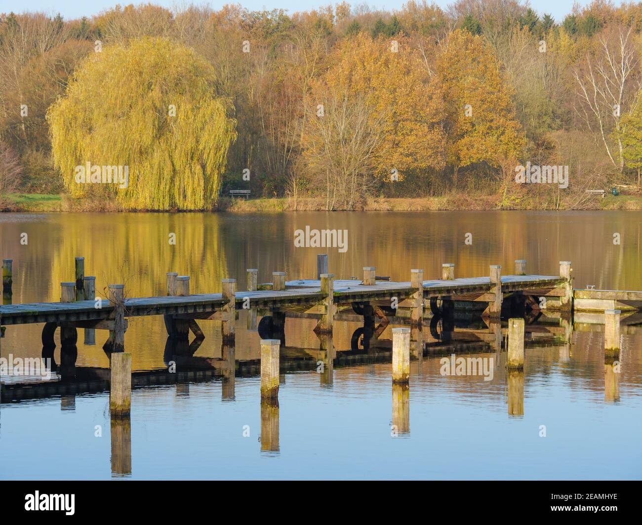 autumn time at a german lake Stock Photo - Alamy