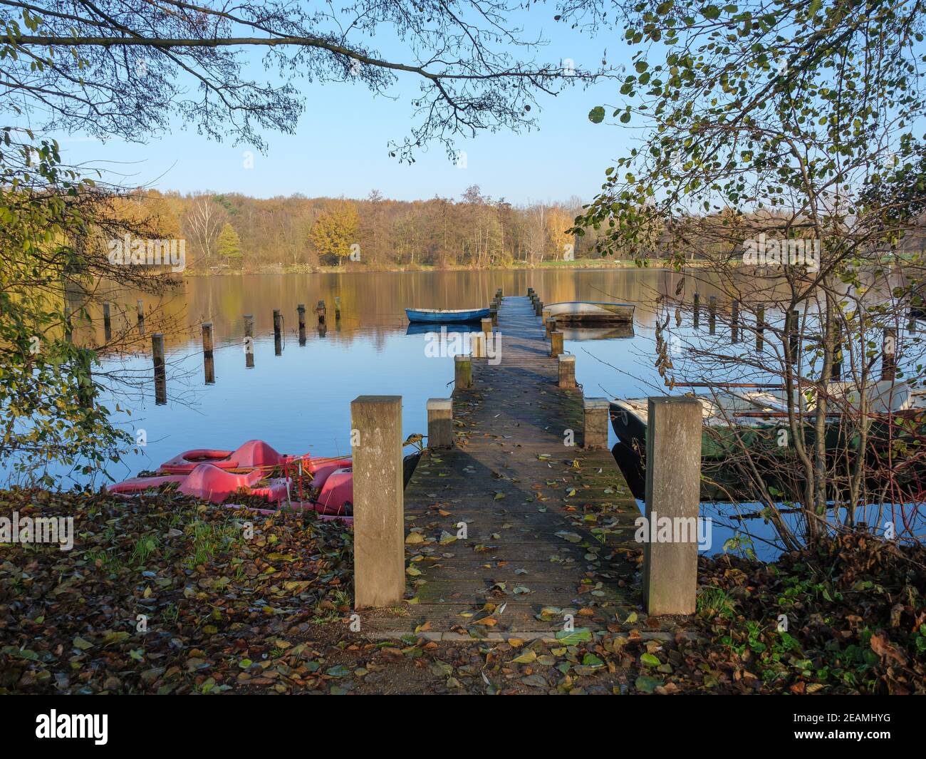 autumn time at a german lake Stock Photo - Alamy