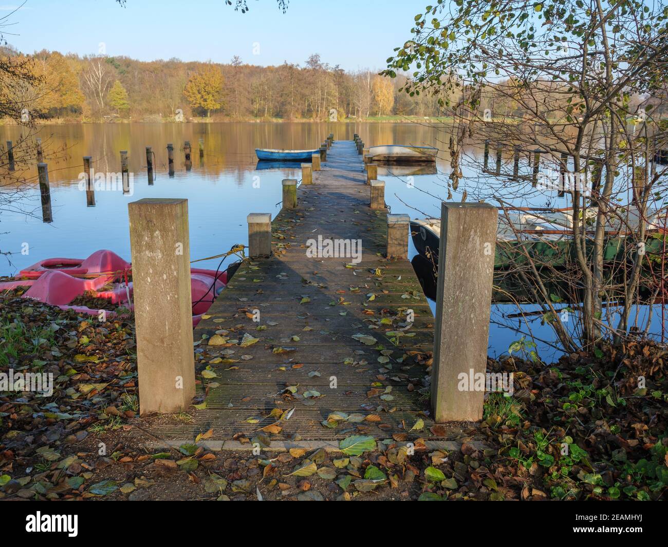 autumn time at a german lake Stock Photo - Alamy