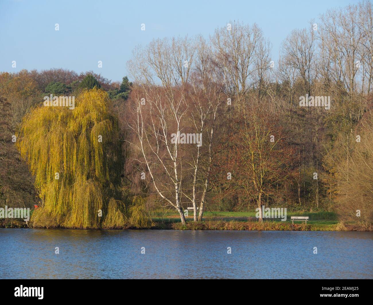 autumn time at a german lake Stock Photo - Alamy