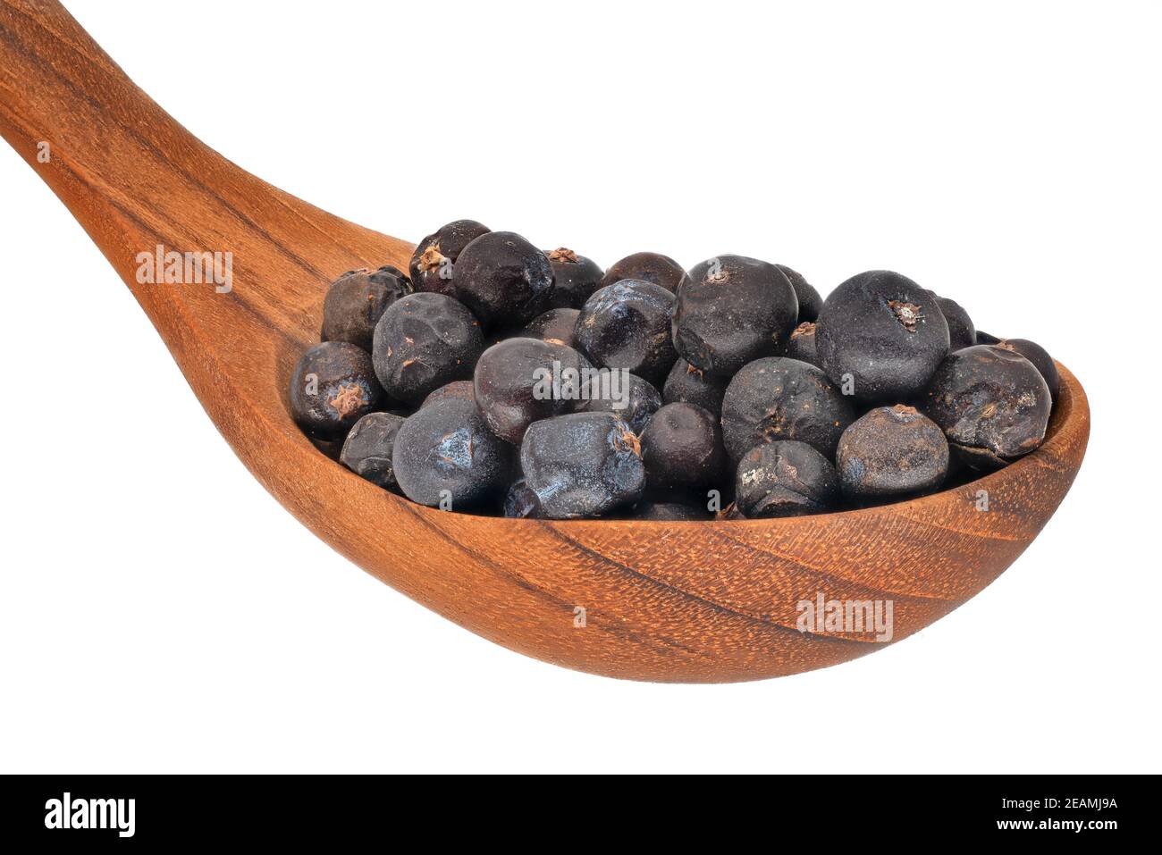 Juniper berry tree hi-res stock photography and images - Alamy