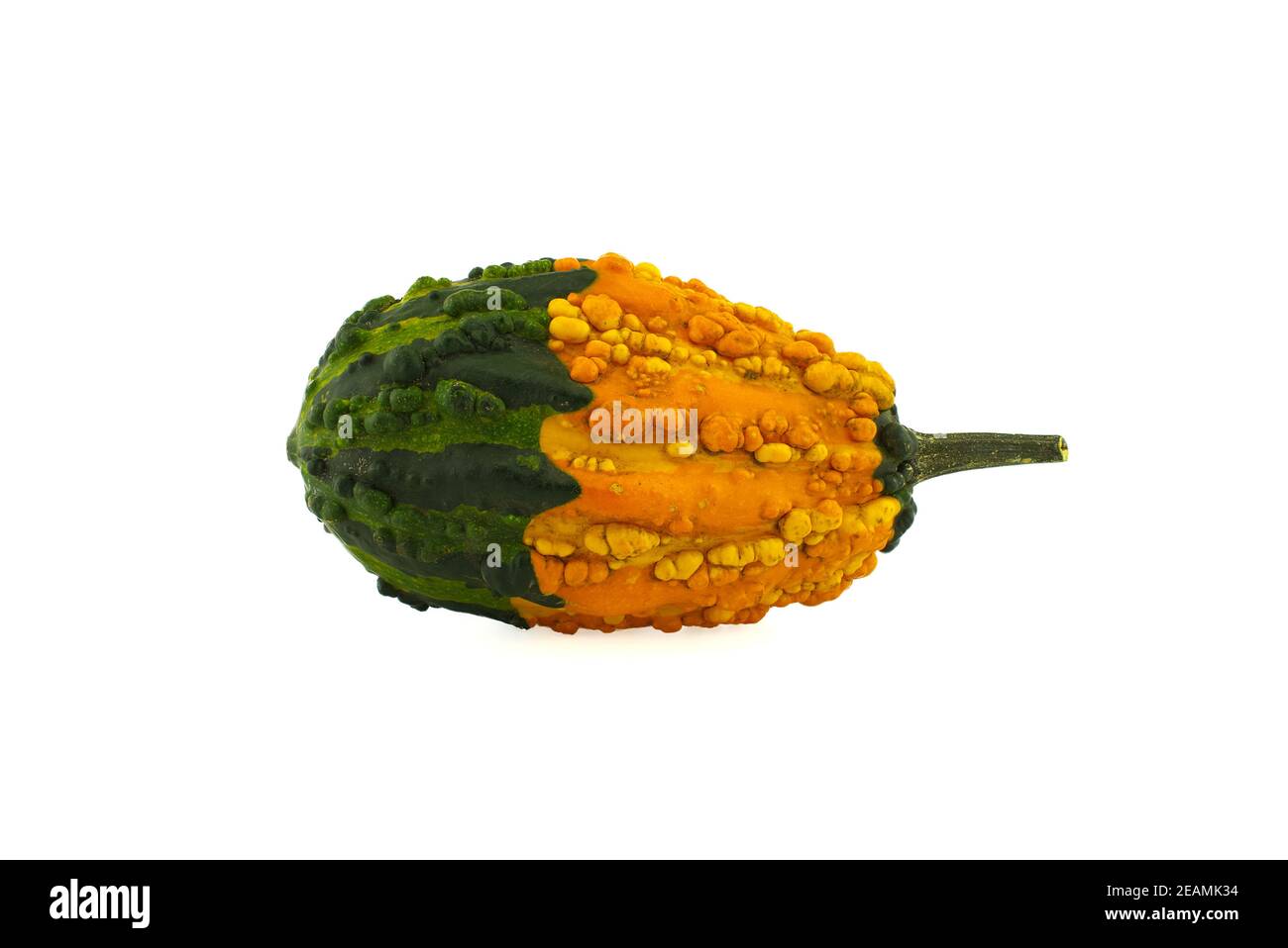 Decorative warty pumpkin isolated on white Stock Photo - Alamy