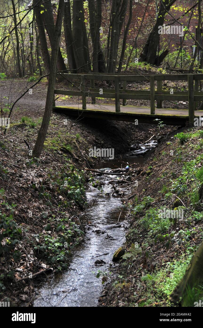 Stream in forest bridge hi-res stock photography and images - Alamy