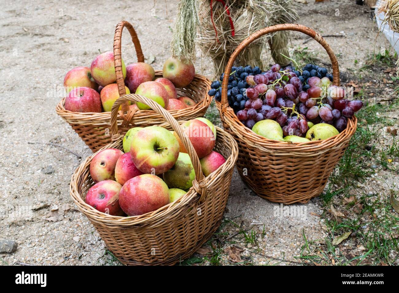 Baskets with apples, pears and grapes. Baskets with fruit Stock Photo ...