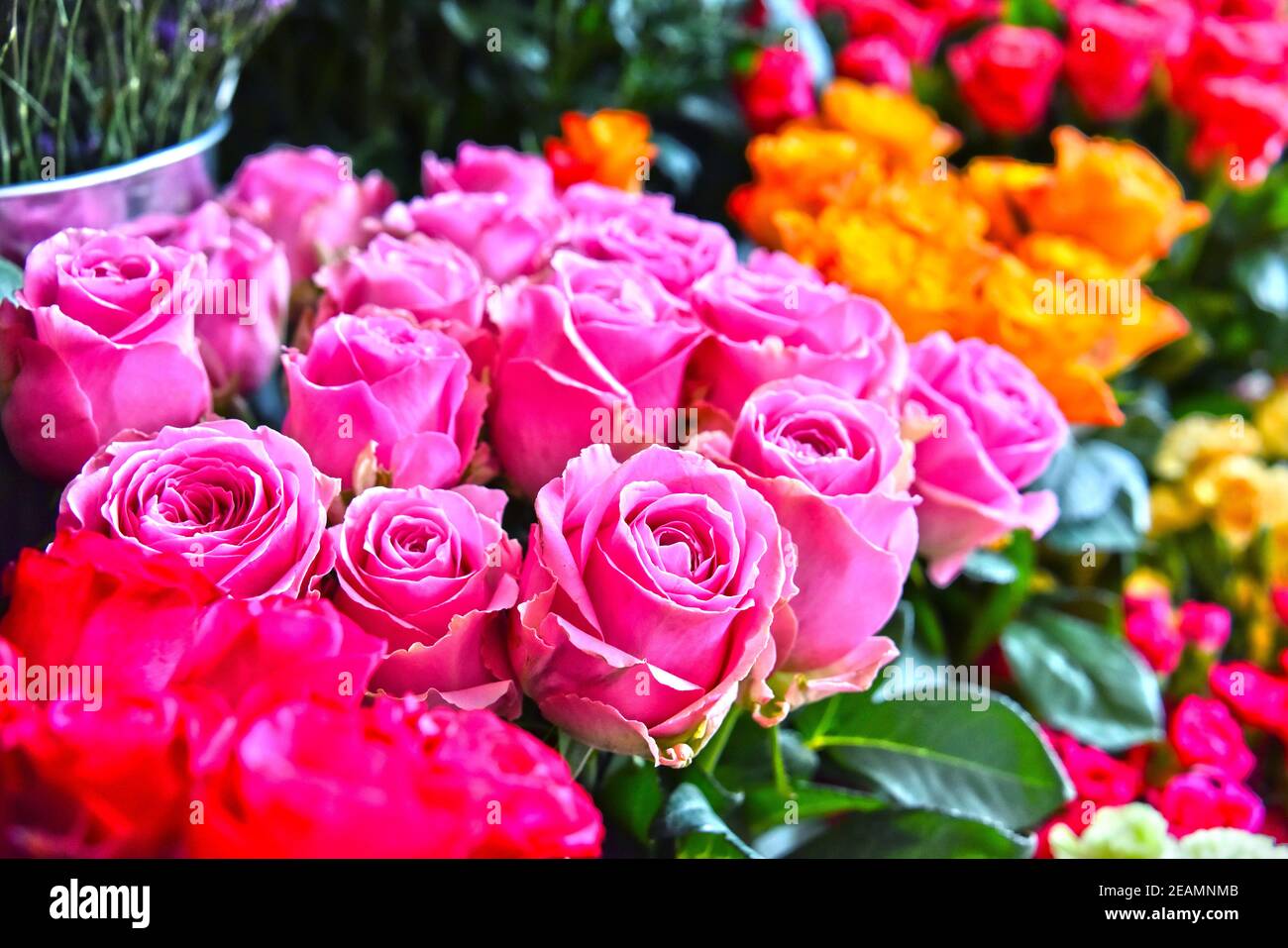 Roses in flower shop Stock Photo - Alamy