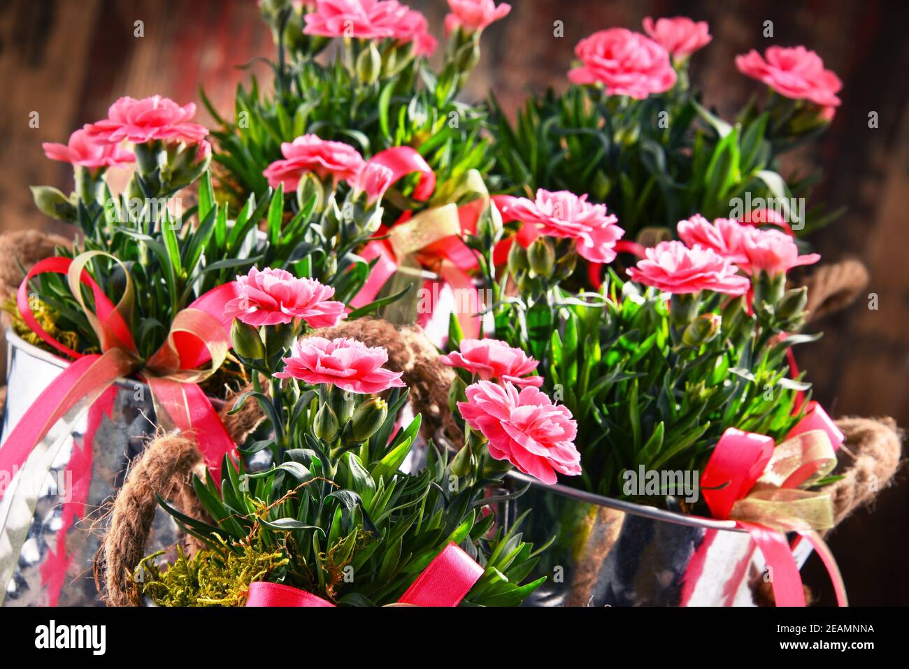 Composition with bouquet of carnations Stock Photo - Alamy