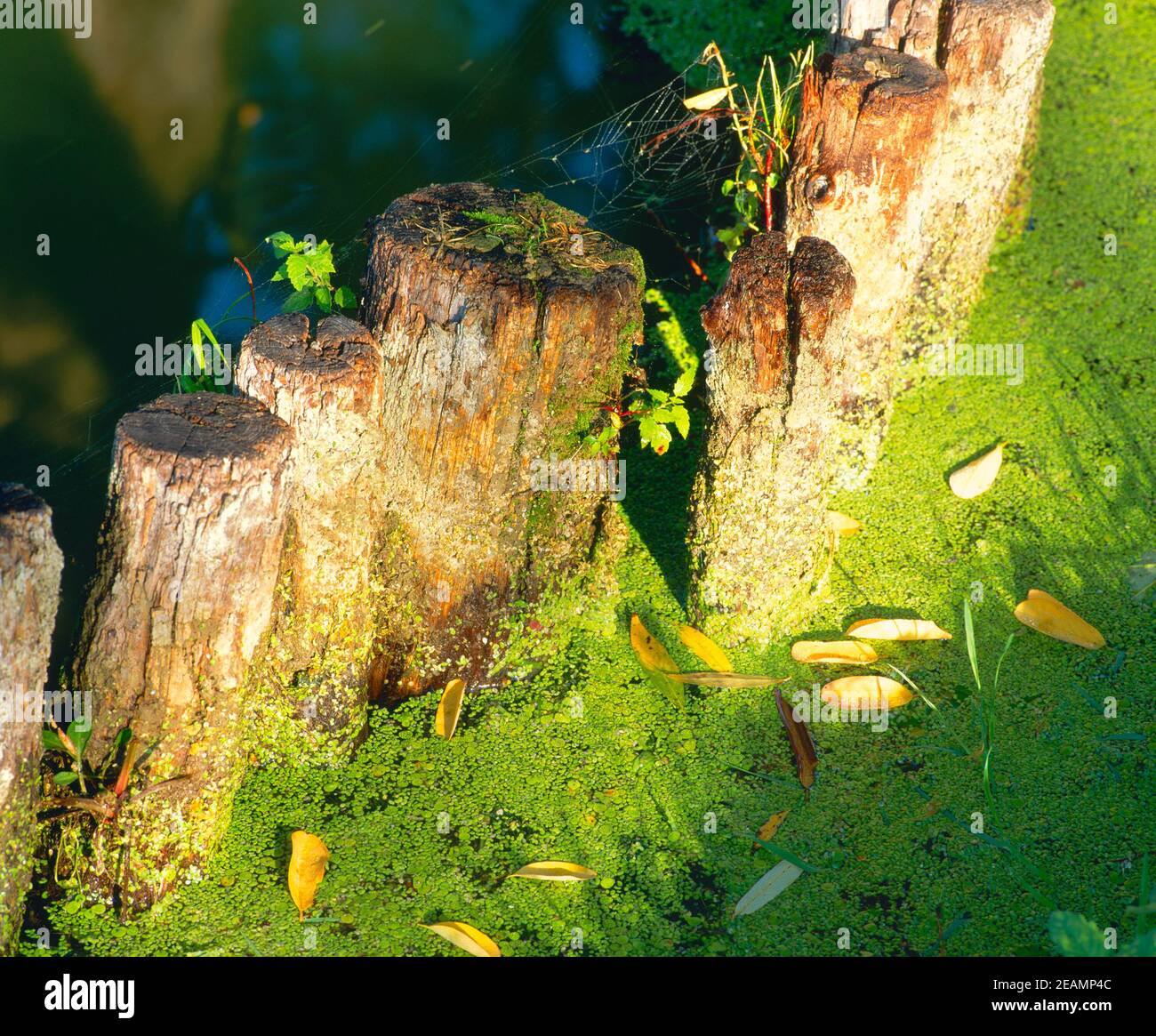 Simple methods hi-res stock photography and images - Alamy