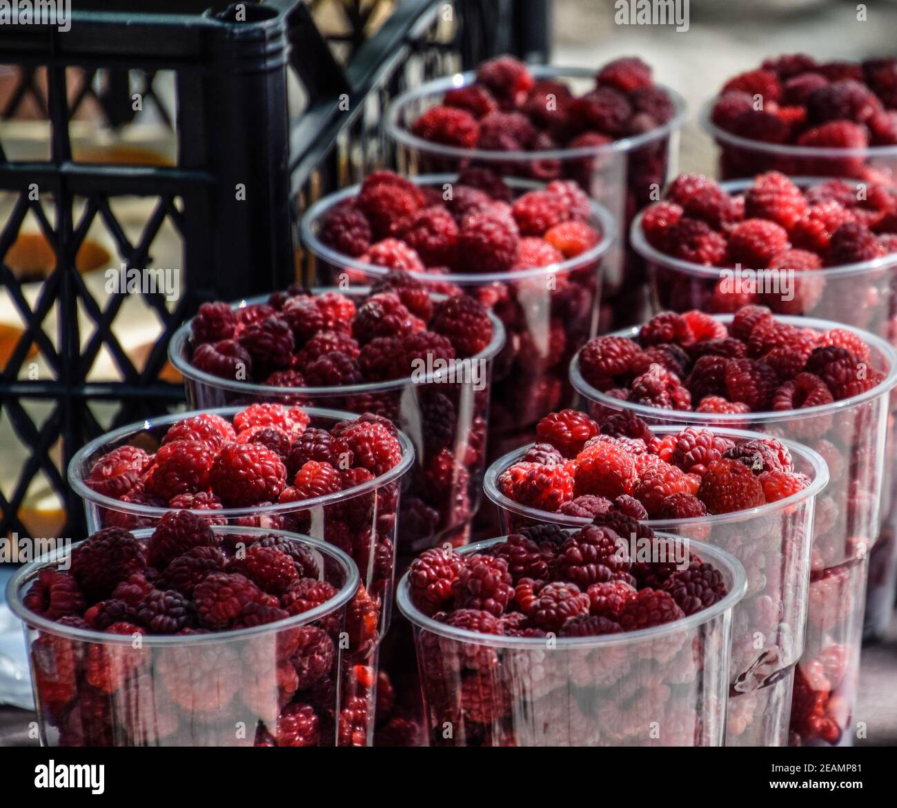 Raspberry variety hi-res stock photography and images - Alamy