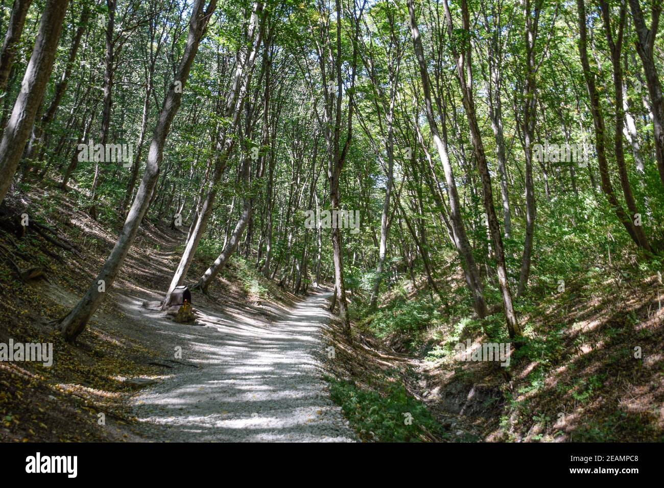 Footpath in the mountains hi-res stock photography and images - Alamy