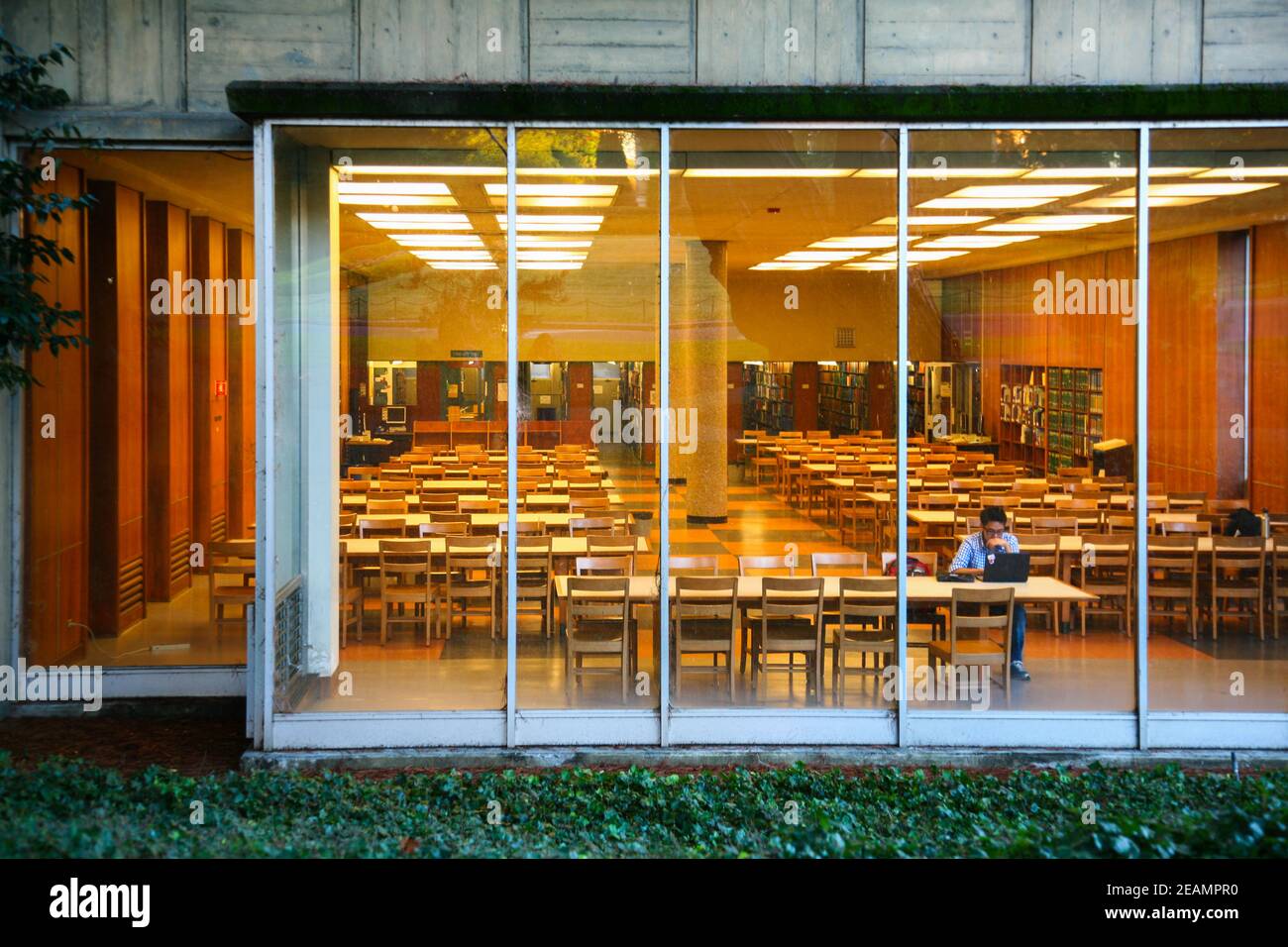 A student working alone in a large room in the university of Berkeley ...