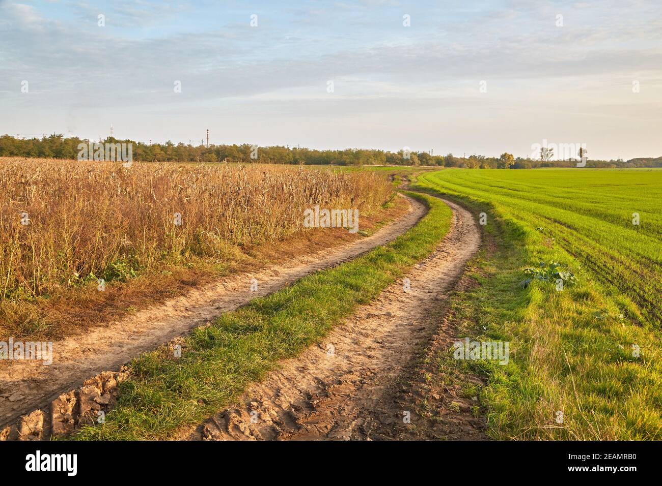 Field dirt road hi-res stock photography and images - Alamy